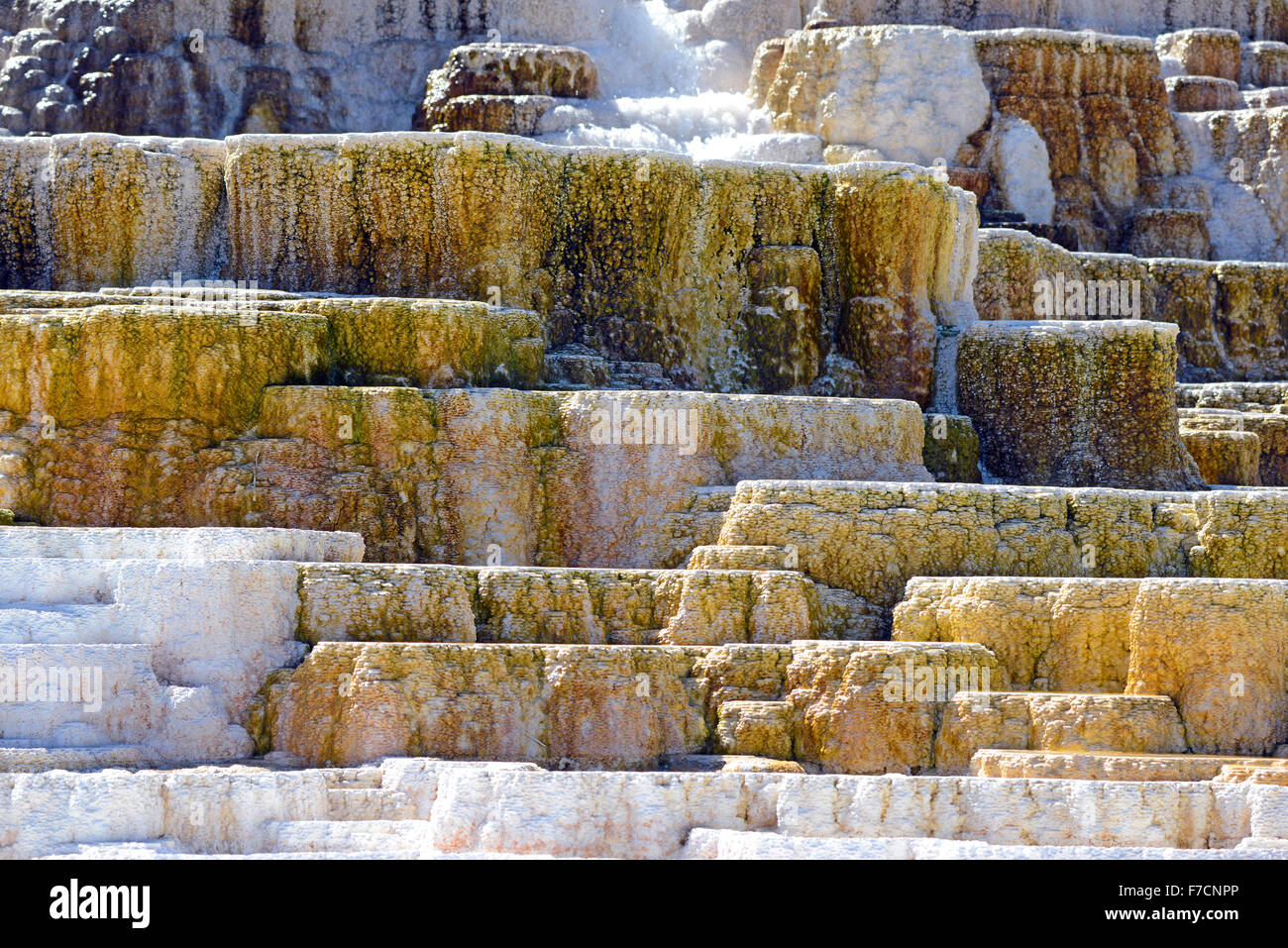 Travertine Terraces in Mammoth Hot Springs, Yellowstone National Park ...