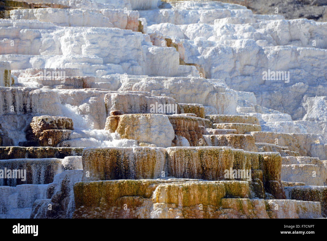 Travertine Terraces in Mammoth Hot Springs, Yellowstone National Park ...