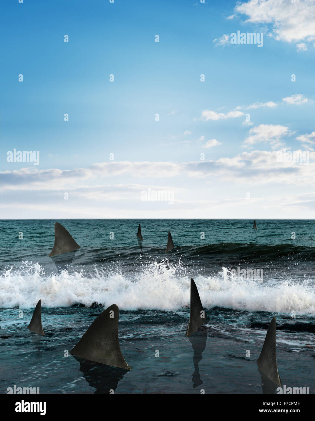 Sharks in sea Stock Photo - Alamy