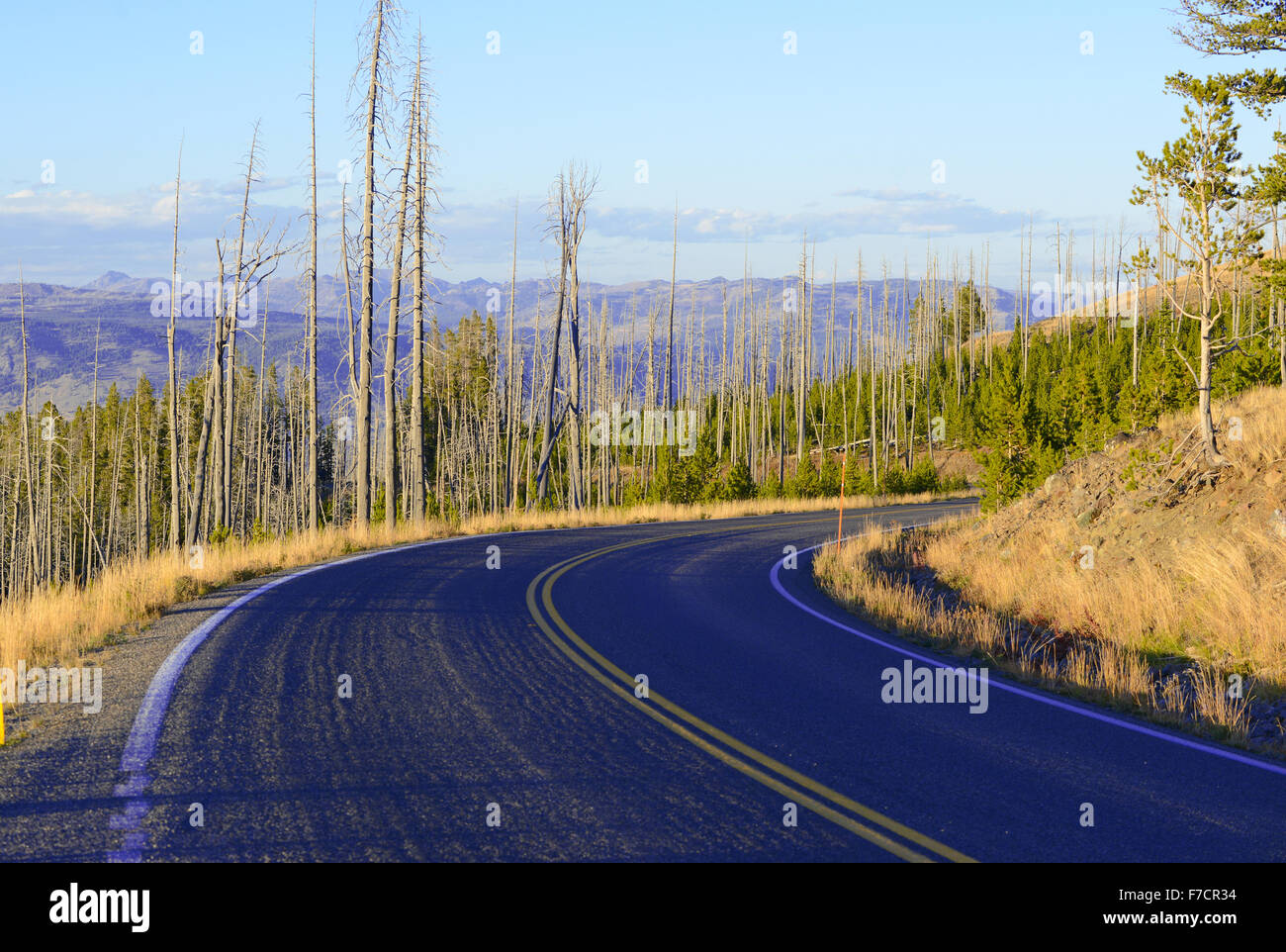 Yellowstone fire 1988 hi-res stock photography and images - Alamy
