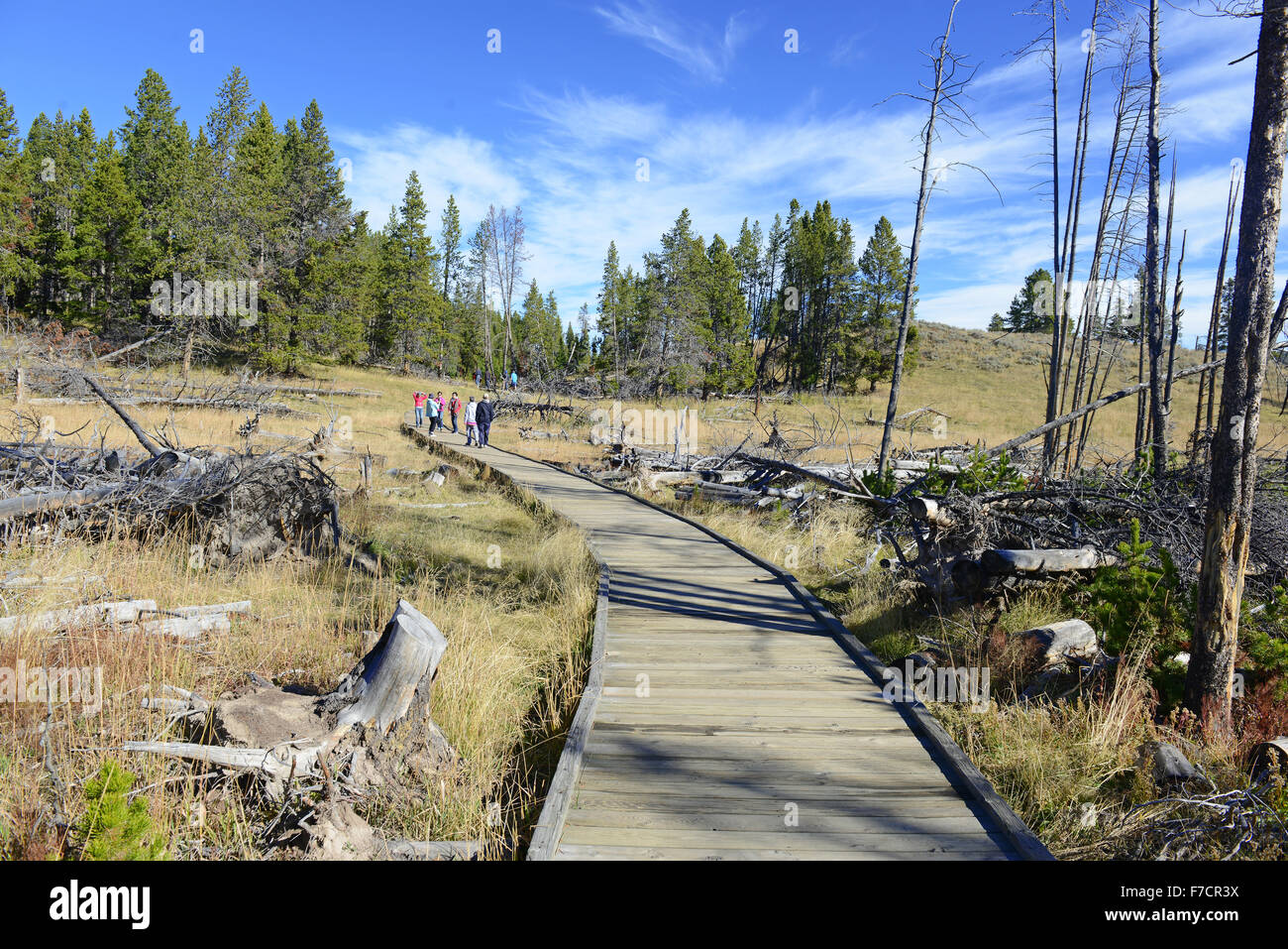 Yellowstone supervolcano eruption hi-res stock photography and images ...