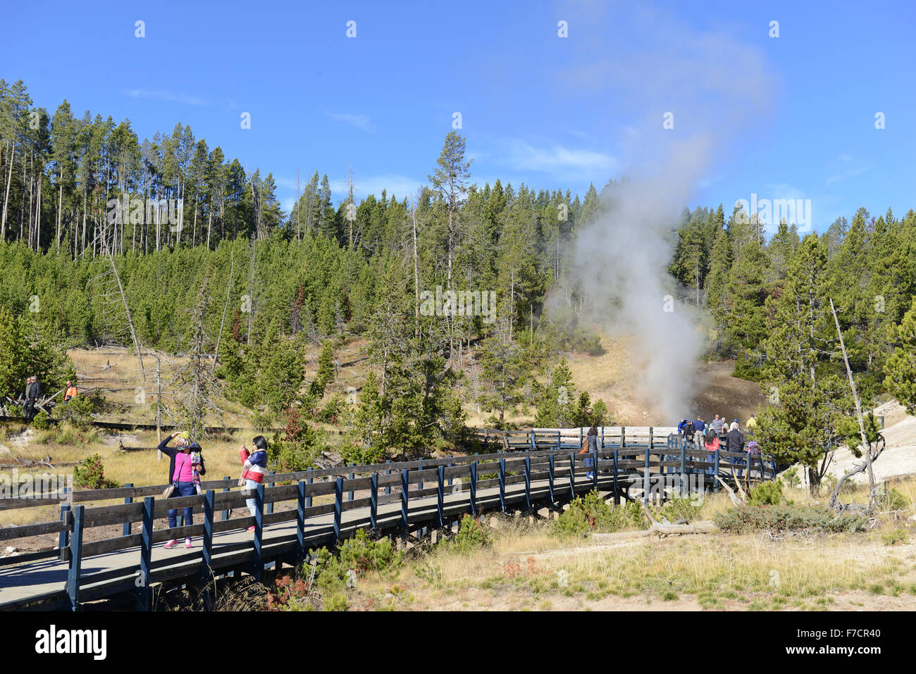 Boardwalks at Yellowstone National Park protect both visitors and the ...