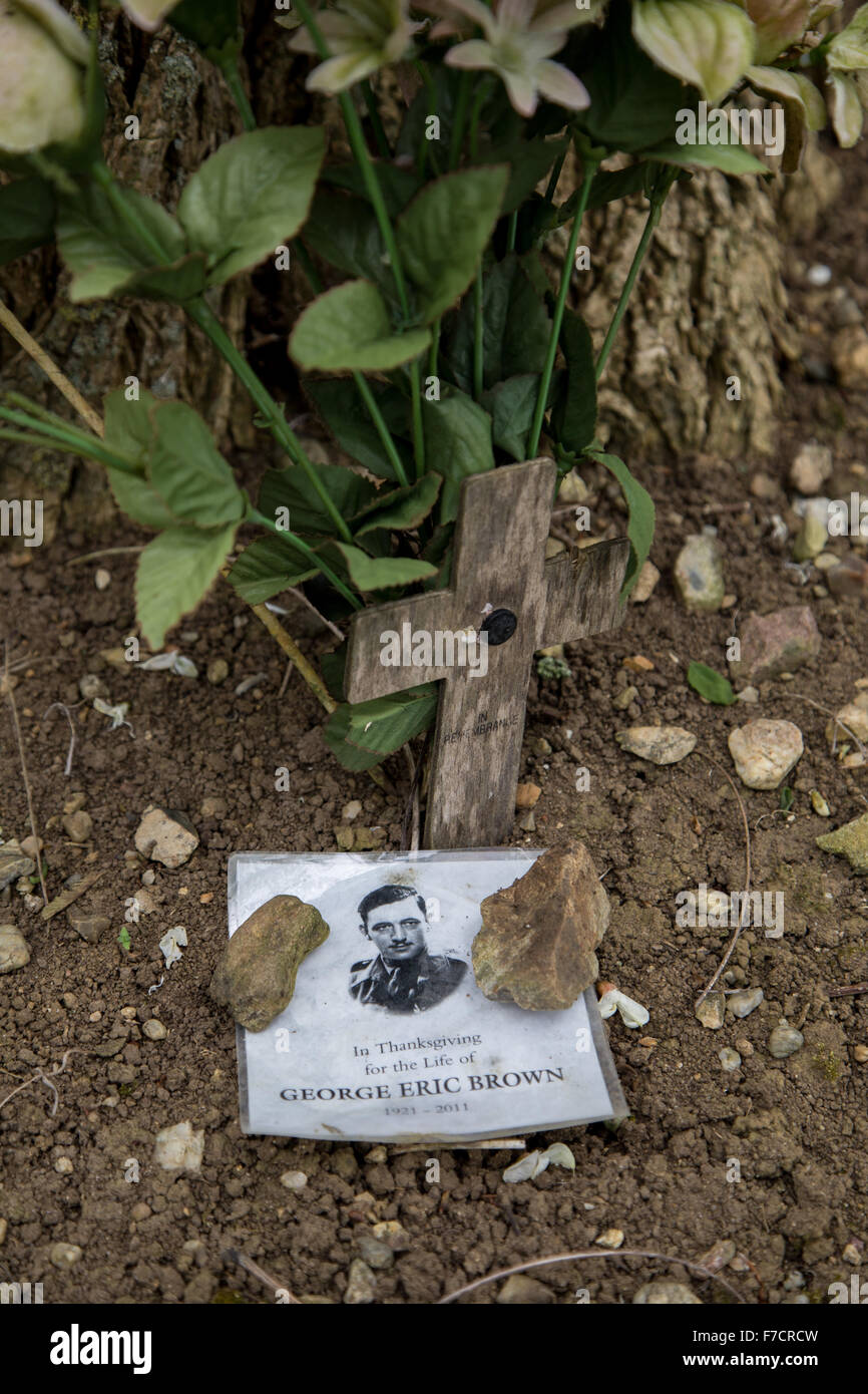 Battle site and woodland burial at Hill 112, Operation Jupiter - a ...