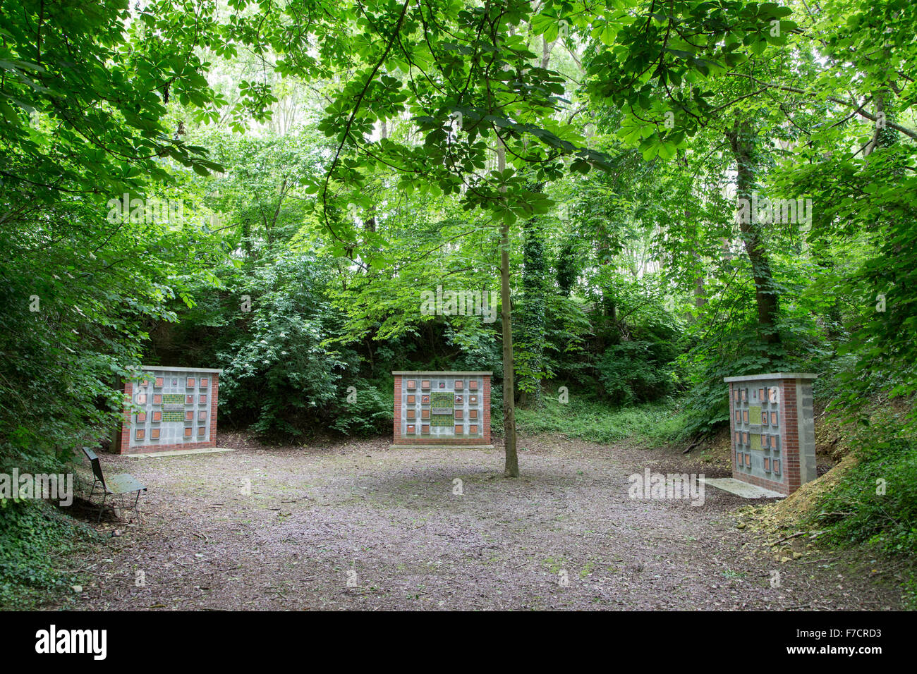 Battle site and woodland burial at Hill 112, Operation Jupiter - a ...