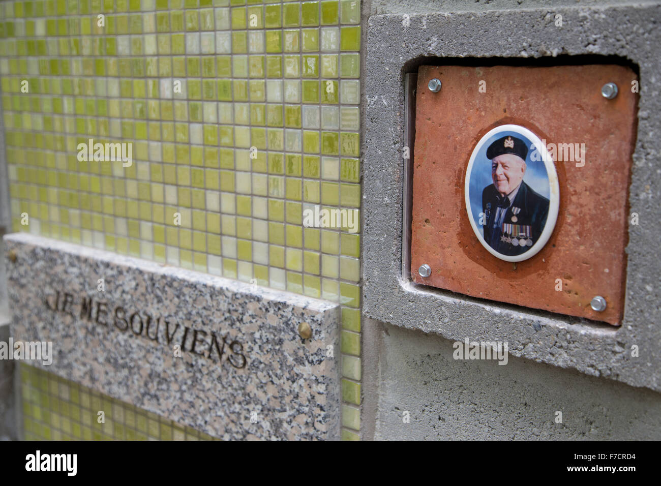 Battle site and woodland burial at Hill 112, Operation Jupiter - a ...