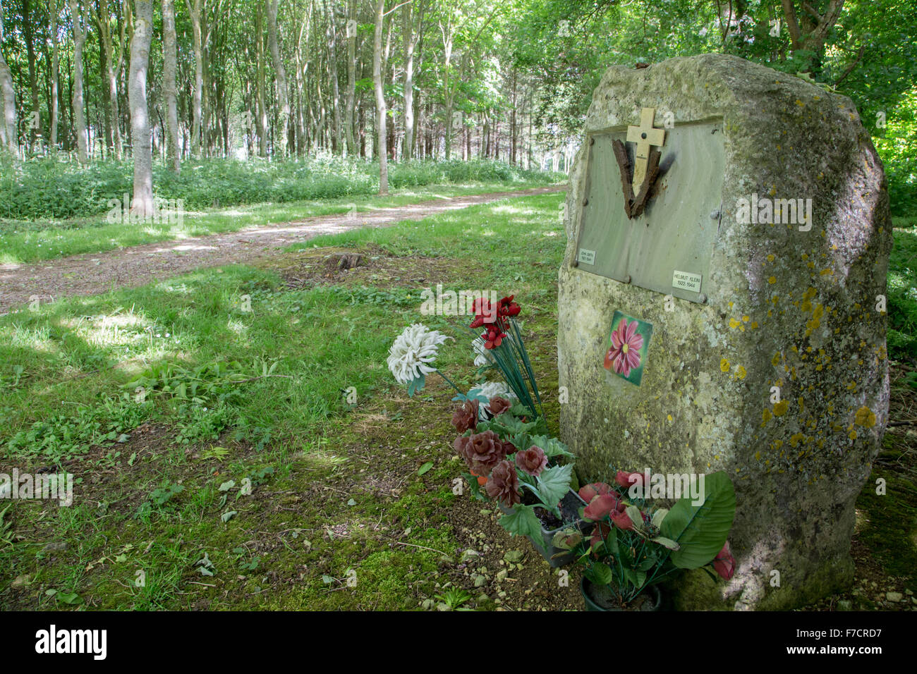 Battle site and woodland burial at Hill 112, Operation Jupiter - a ...