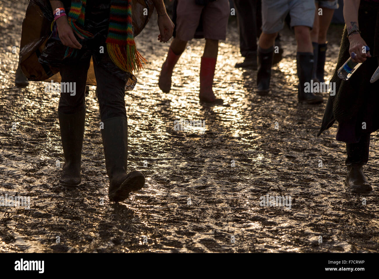 Festival goers walking through mud hi-res stock photography and images ...