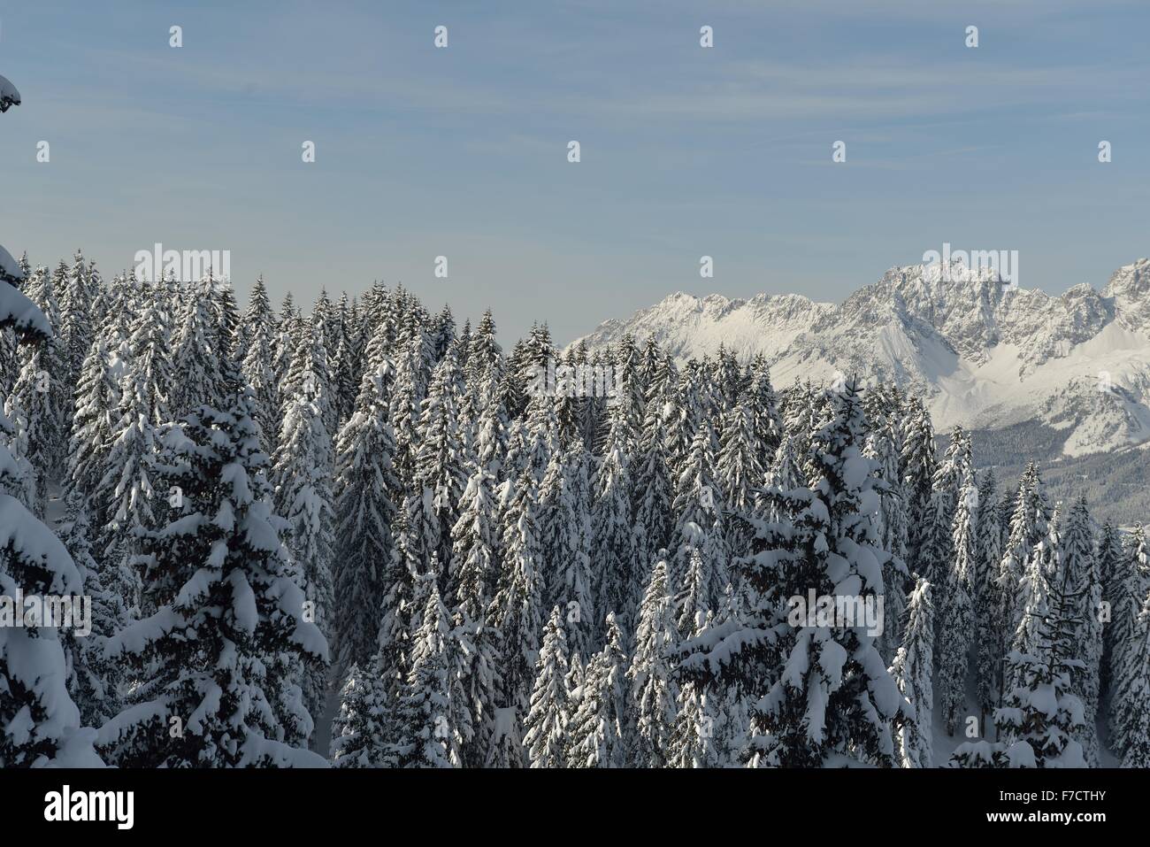 winter nature landscape mountaint with tree and fresh snow Stock Photo ...
