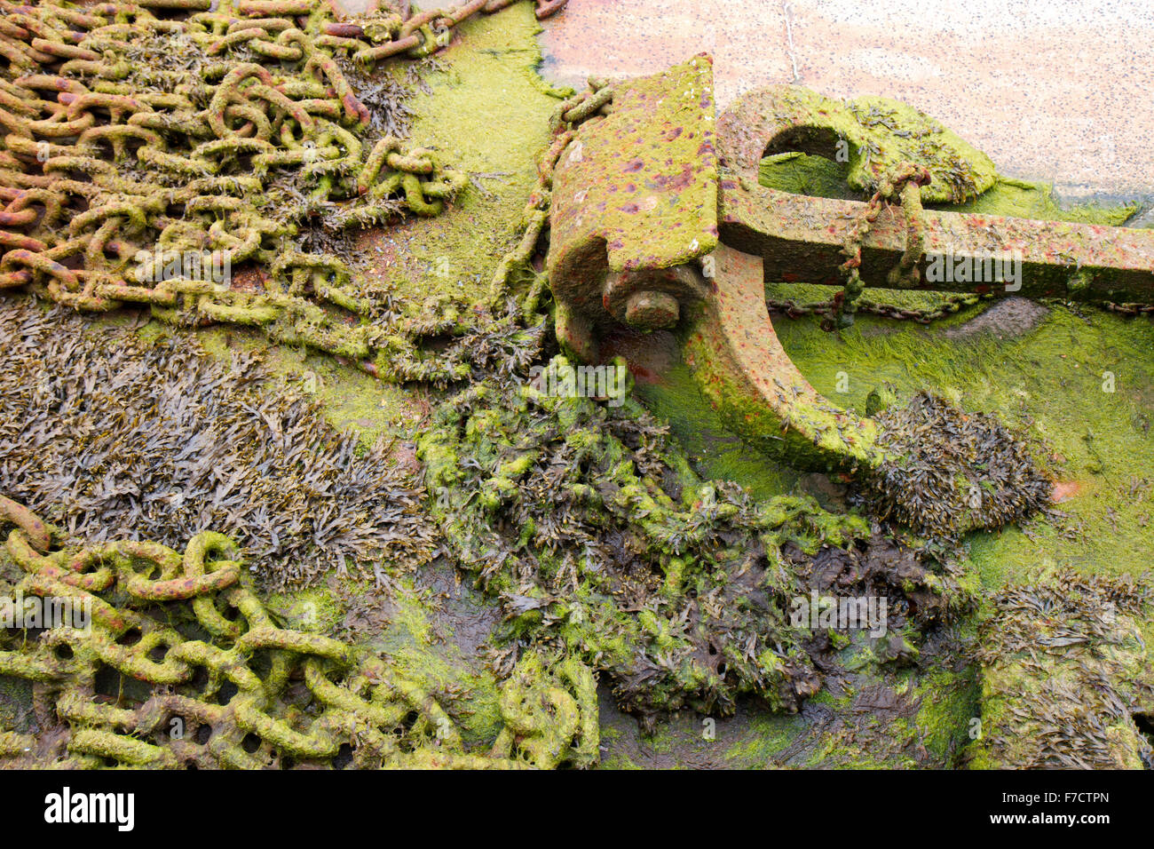Lost Anchor High Resolution Stock Photography and Images - Alamy