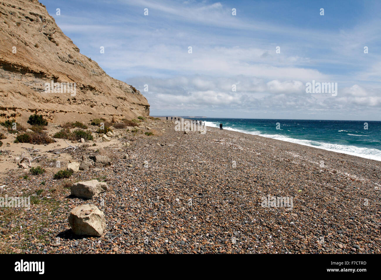 El Pedral beach and cliffs near Puerto Madryn ,Chubut Province, Patagonia, Argentina. Sanctuary ...