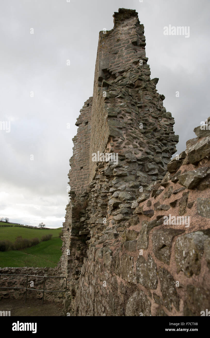 The ruins of Montgomery castle in Wales Stock Photo - Alamy