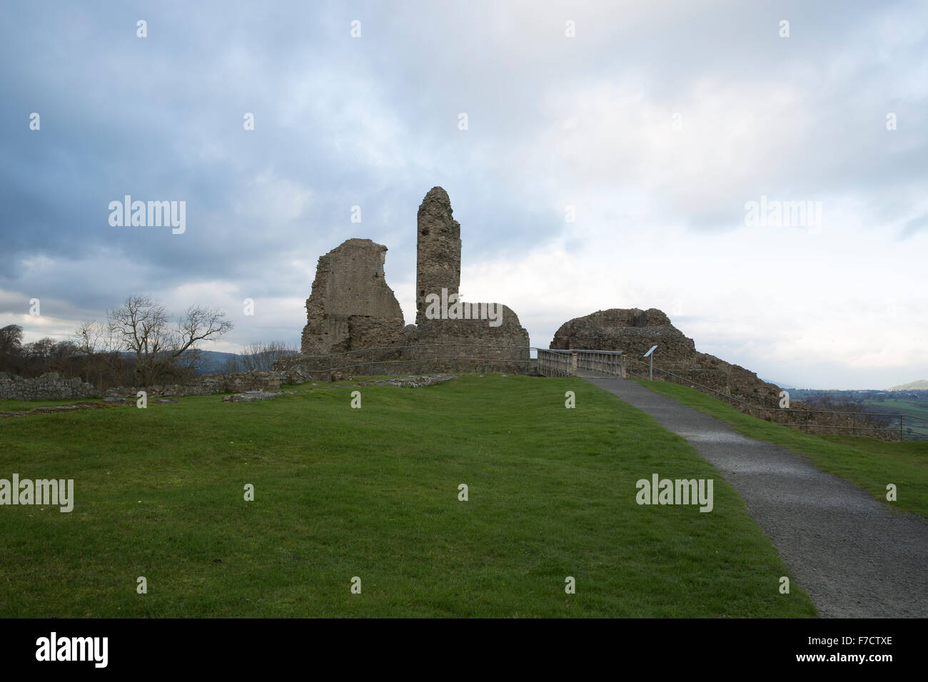 The ruins of Montgomery castle in Wales Stock Photo - Alamy