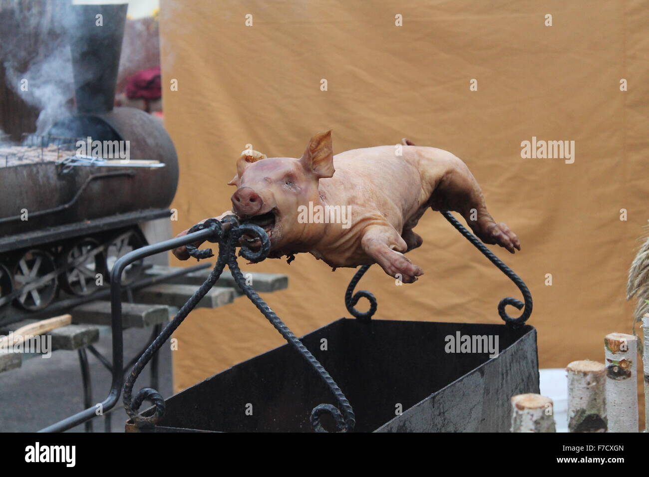Little salami of boar hi-res stock photography and images - Alamy