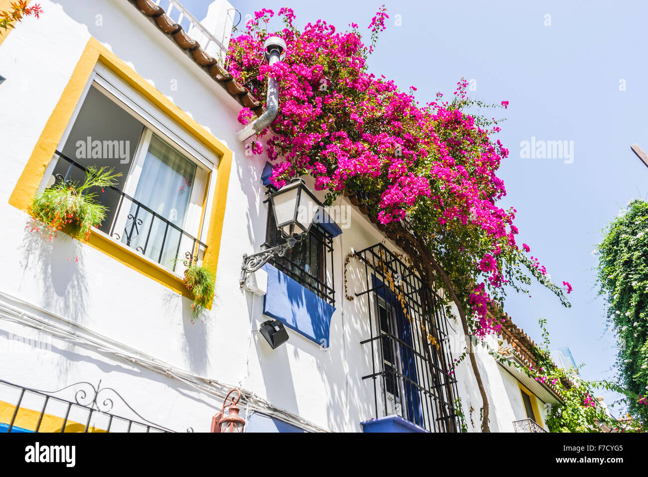 traditional Andalusian streets with flowers and white houses in ...