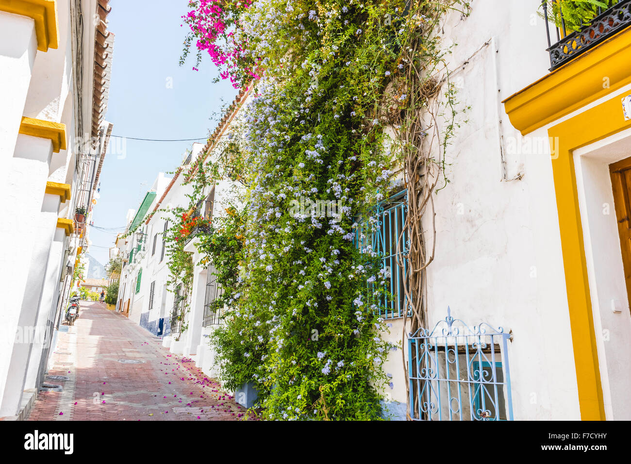 typical Andalusian streets and balconies with flowers in Marbella ...