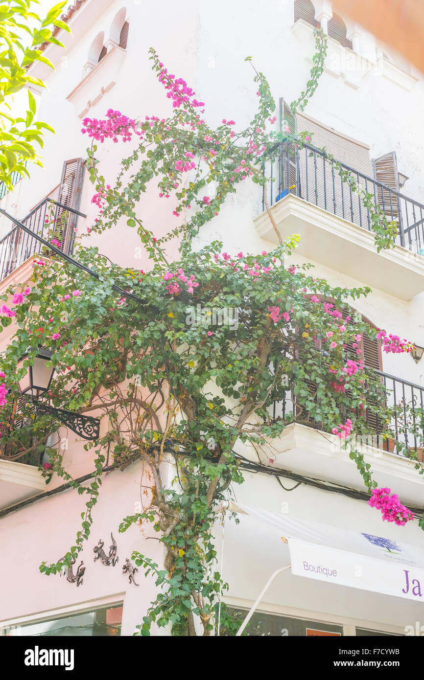 traditional Andalusian streets with flowers and white houses in ...