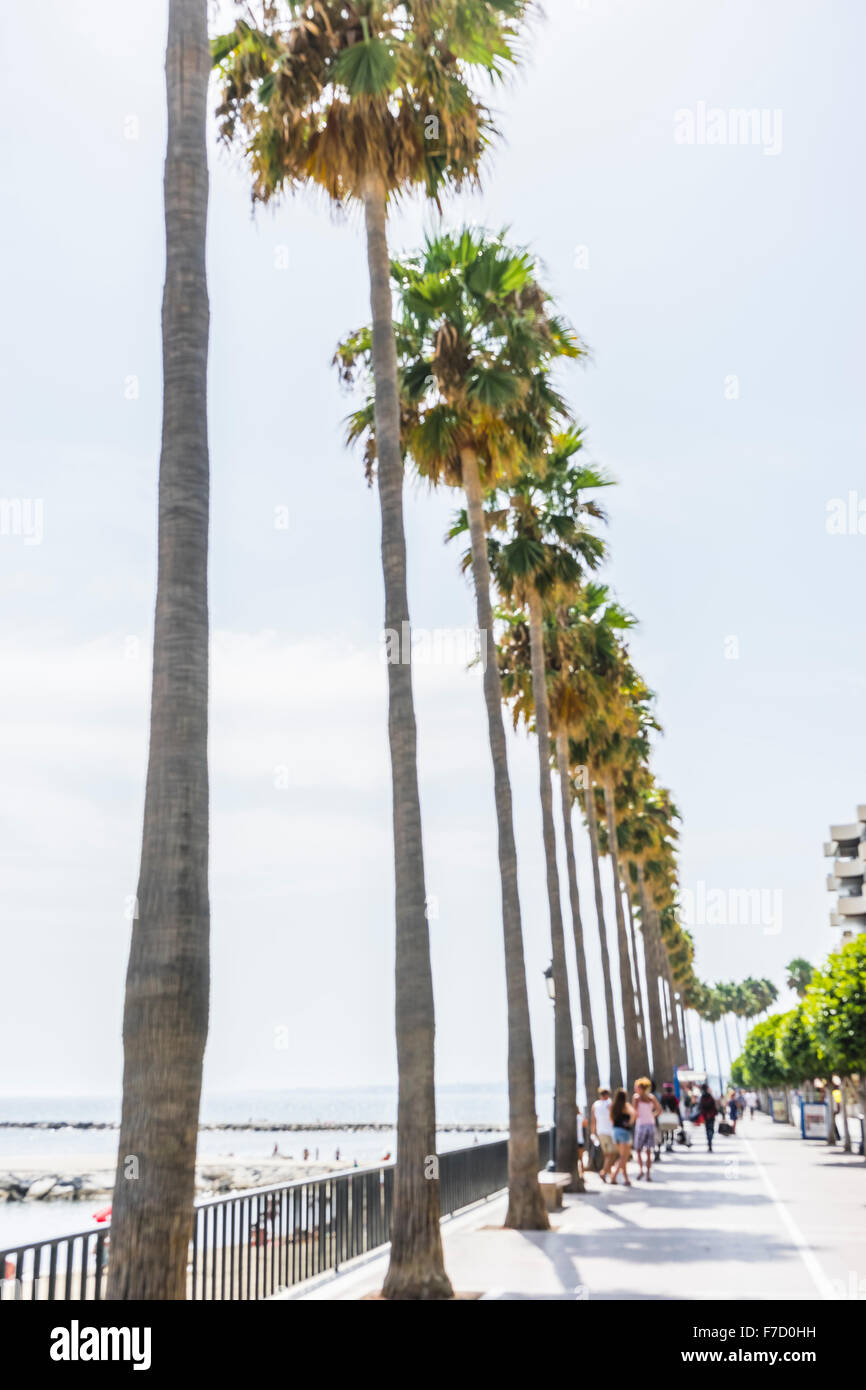 promenade along the sea of palms in Marbella Andalucia Spain Stock ...