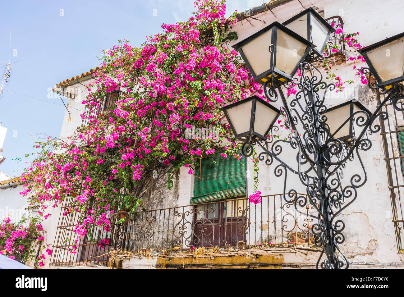 Holiday, architecture and streets of white flowers in Marbella ...