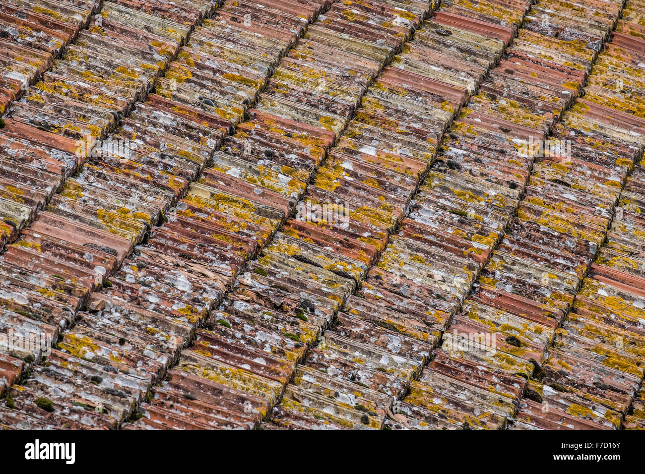 Italian roof tiles hi-res stock photography and images - Alamy