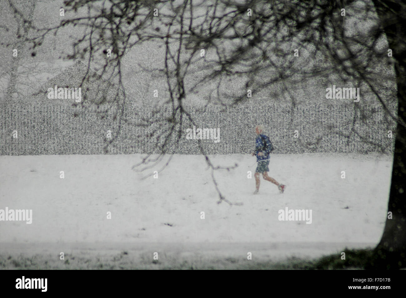 Snow man boxer hi-res stock photography and images - Alamy