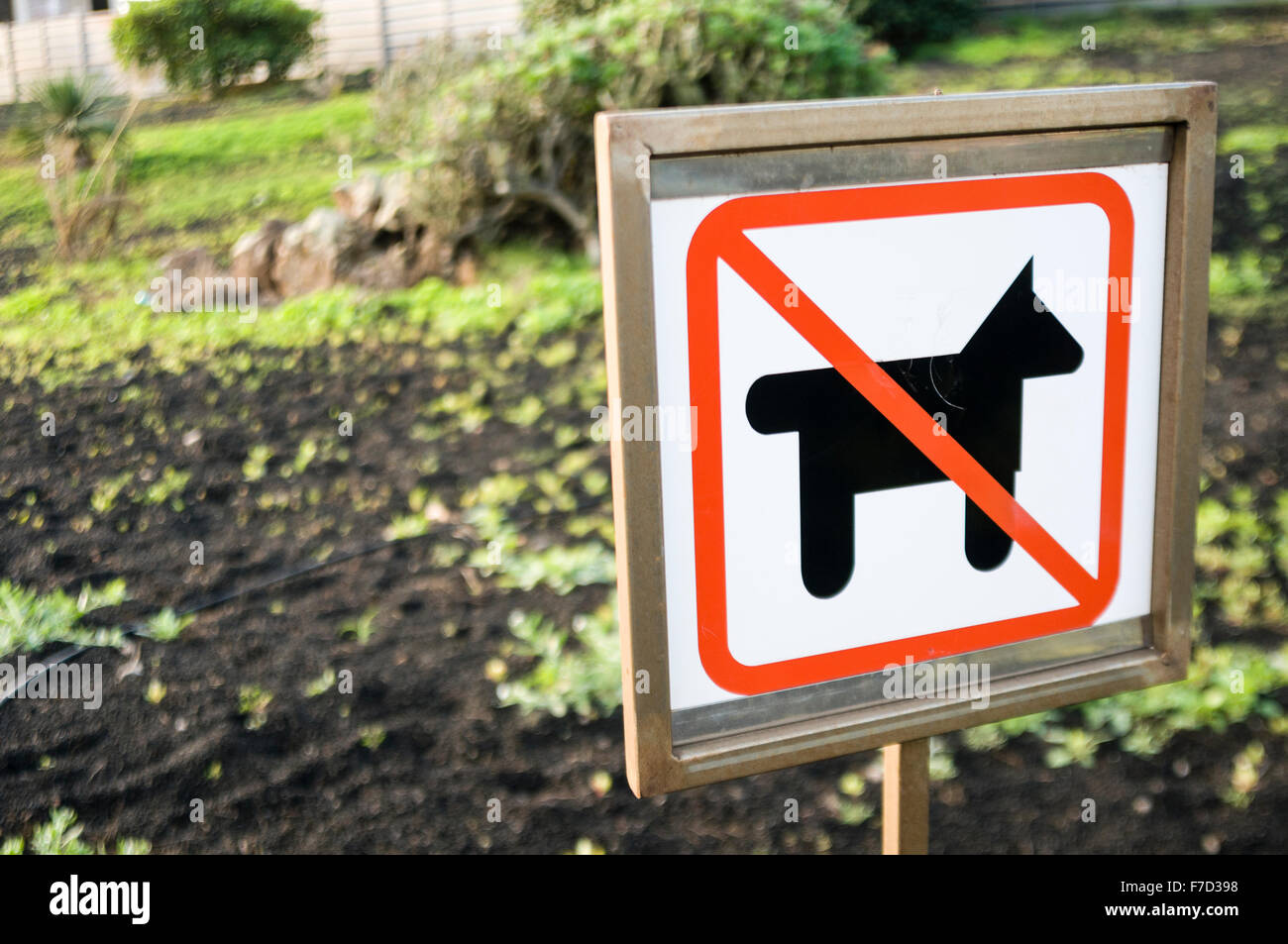 Sign in a public park warning that dogs are not permitted Stock Photo ...
