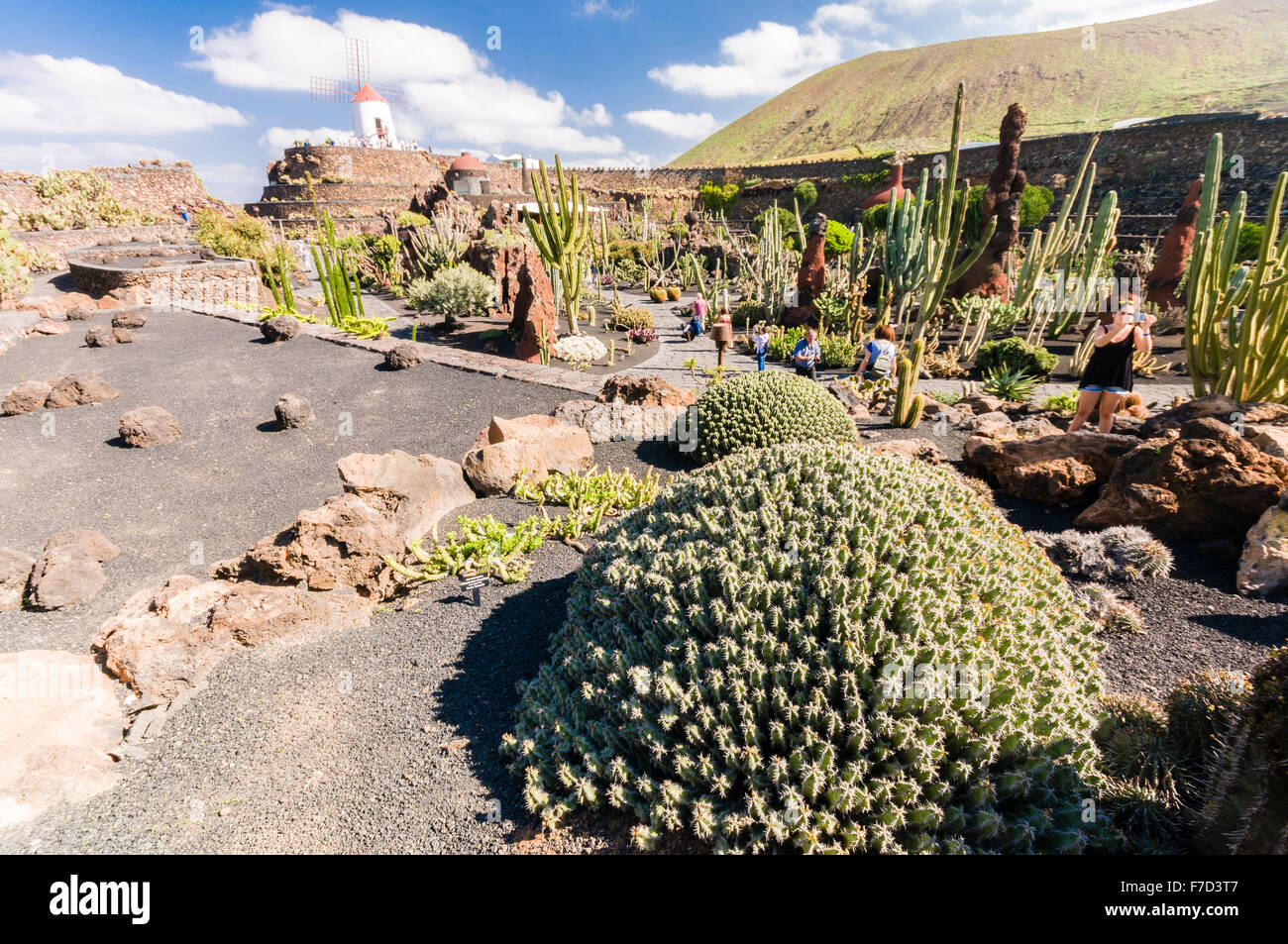 Jardin de Cactus, Lanzarote, created by artist César Manrique Stock ...