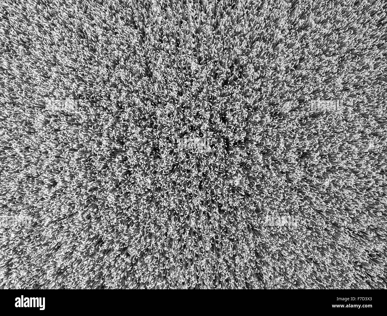 Cost of a loaf of bread Black and White Stock Photos & Images - Alamy