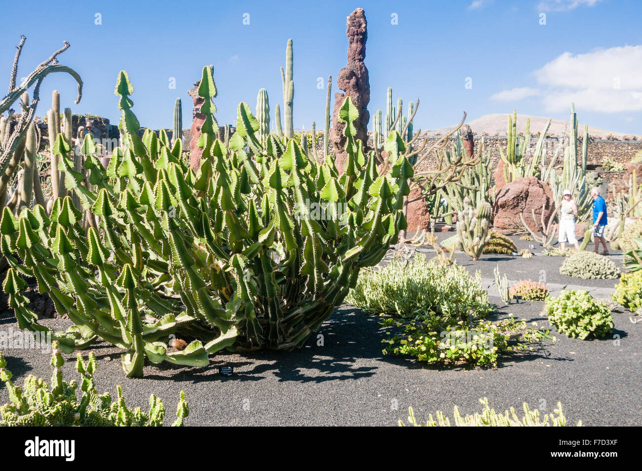 Visitors walk through the Jardin de Cactus, Lanzarote, created by ...