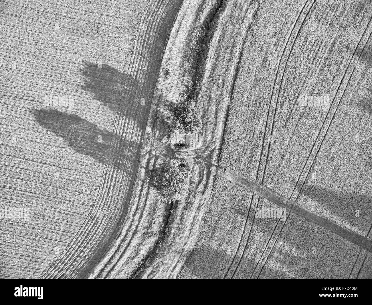 Aerial view looking down vertically onto tree and farmland with ...