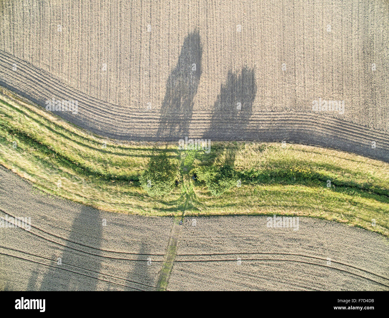 Aerial photograph of green border zone between two fields of corn Stock ...