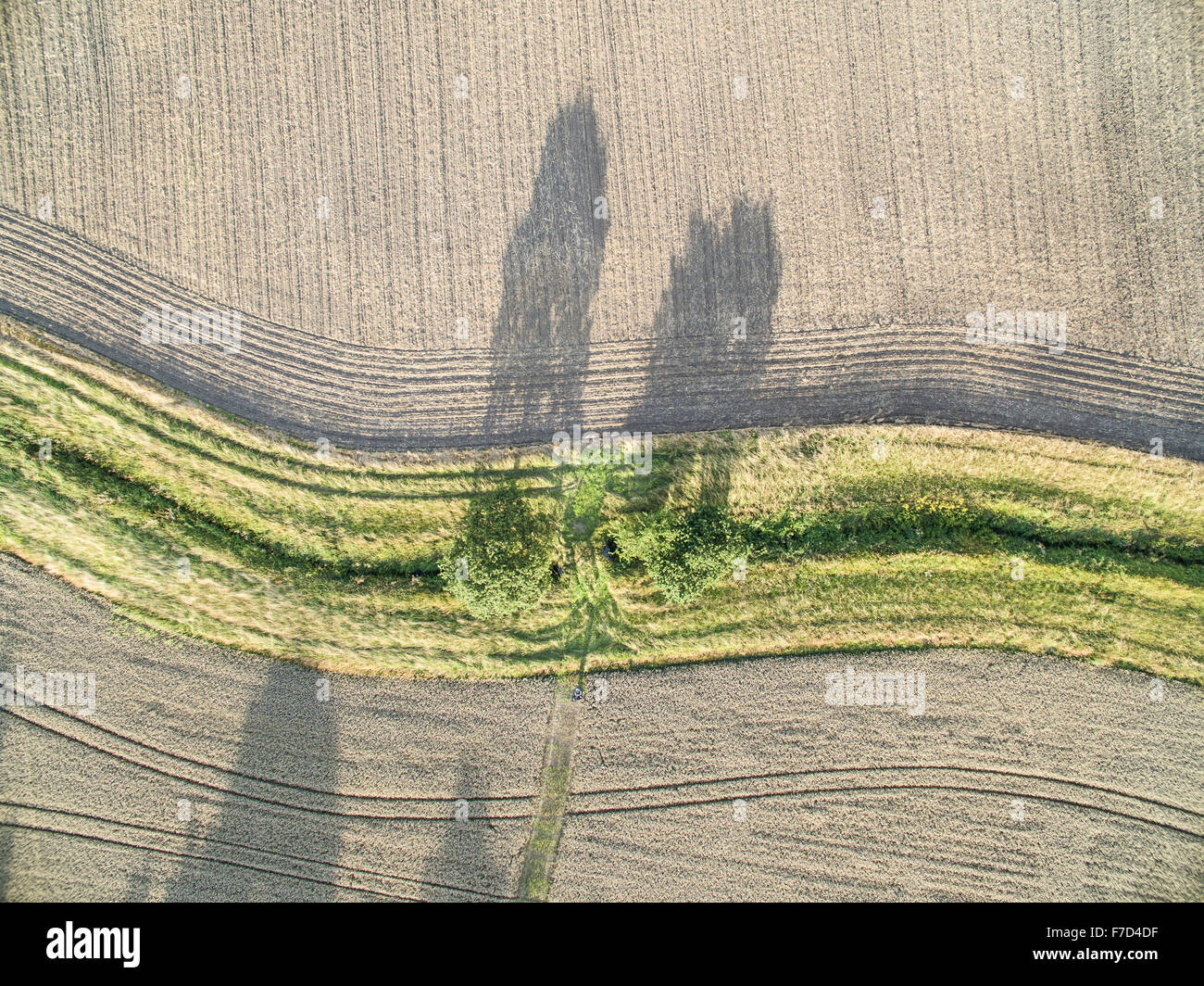 Aerial photograph of green border zone between two fields of corn Stock ...