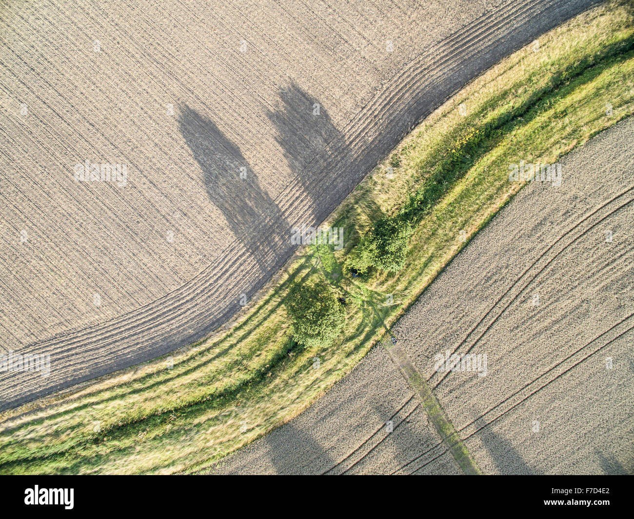 Aerial photograph of green border zone between two fields of corn Stock ...