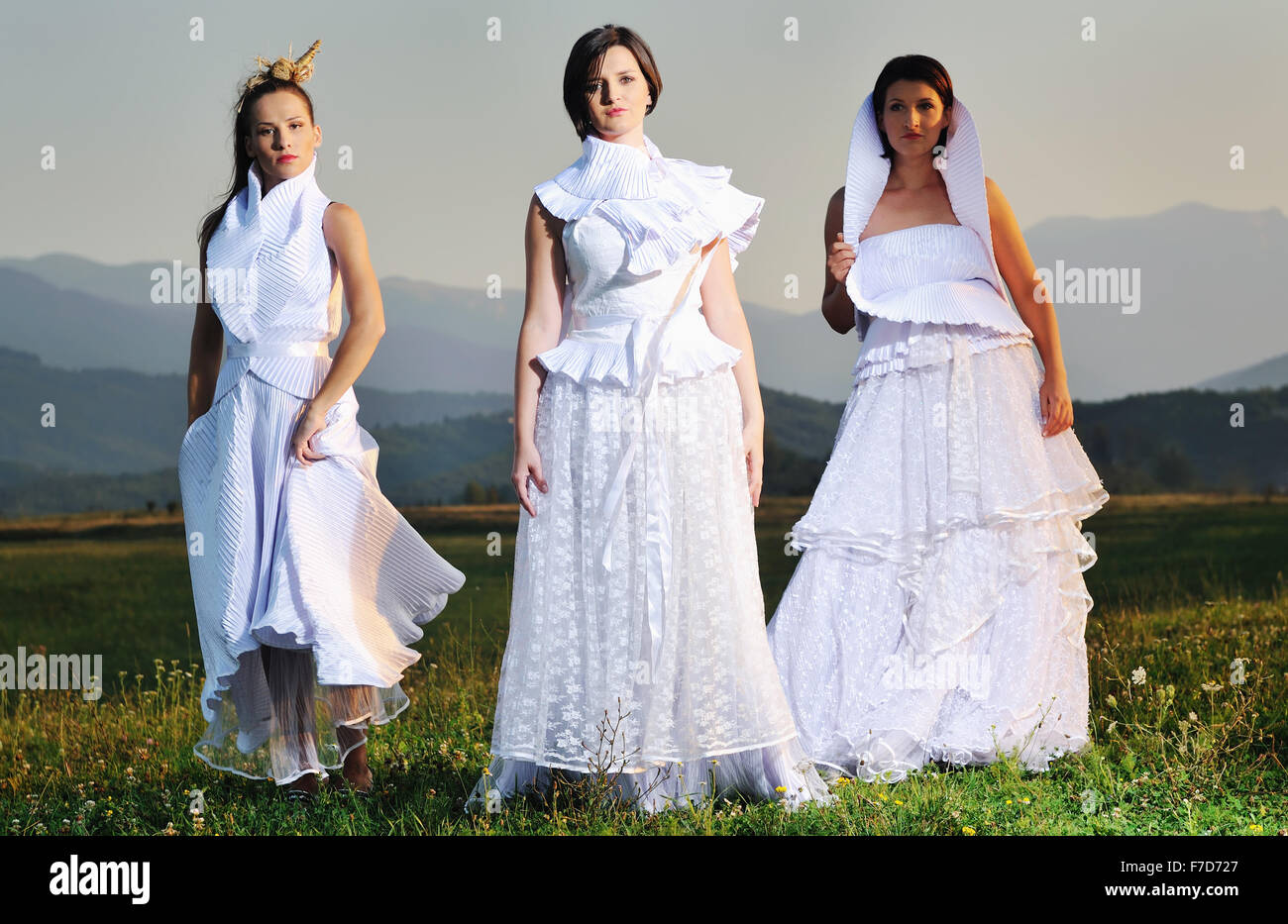 group of bride run on meadow at sunset after wedding party Stock Photo ...