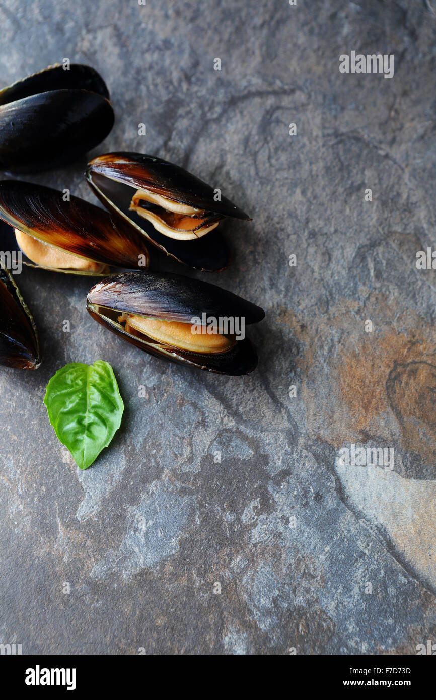 Blue mussel background hi-res stock photography and images - Alamy