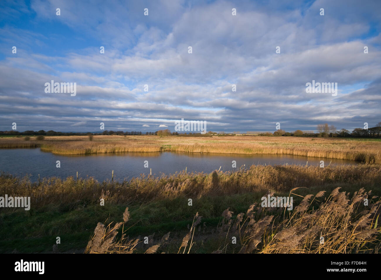 Pagham harbour hi-res stock photography and images - Alamy