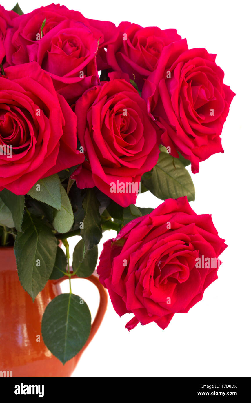 two scarlet red roses Stock Photo - Alamy