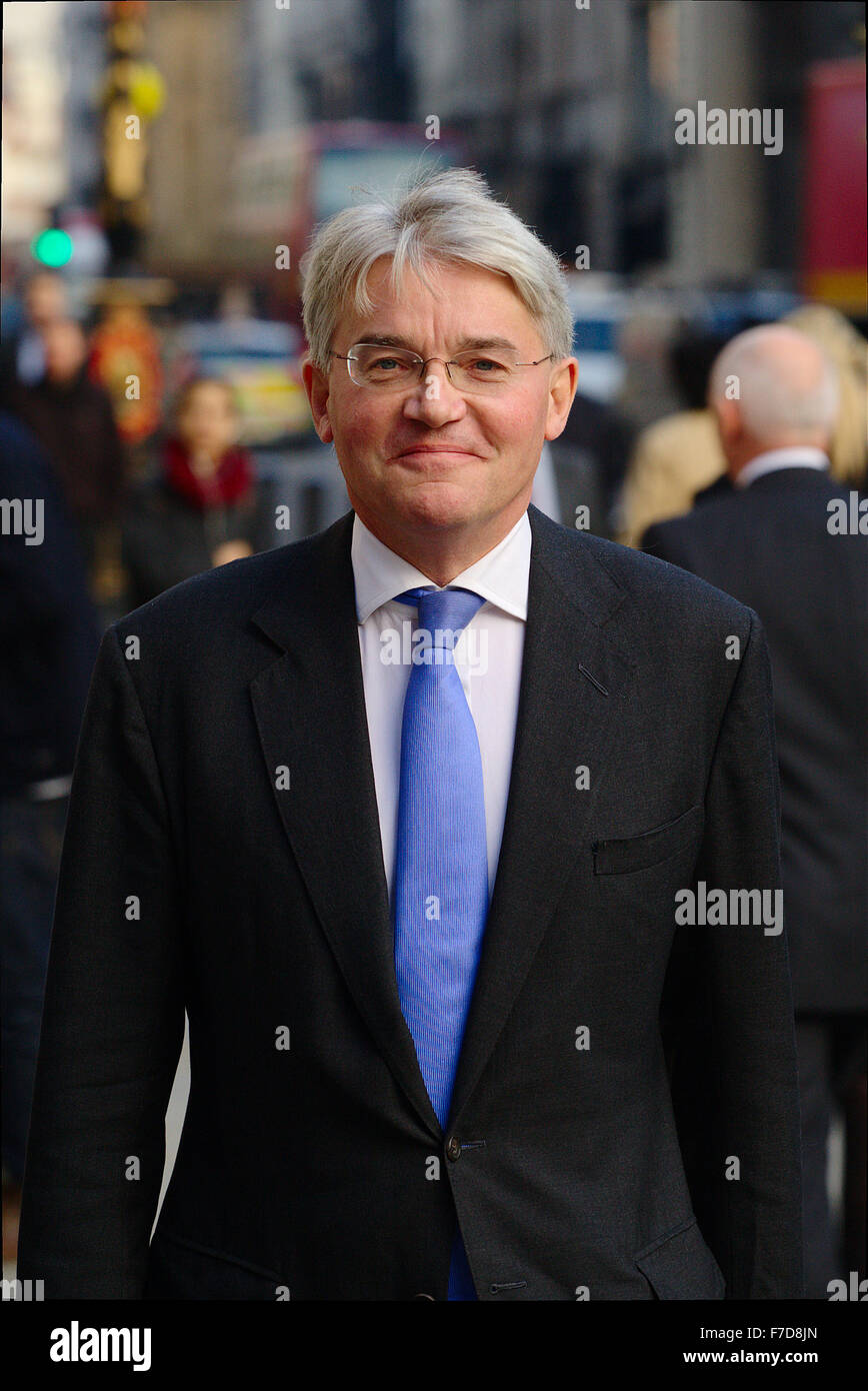 Andrew Mitchell MP outside the Royal Courts of Justice Stock Photo - Alamy