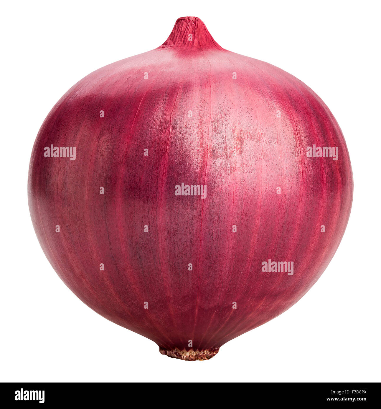 One onion hi-res stock photography and images - Alamy