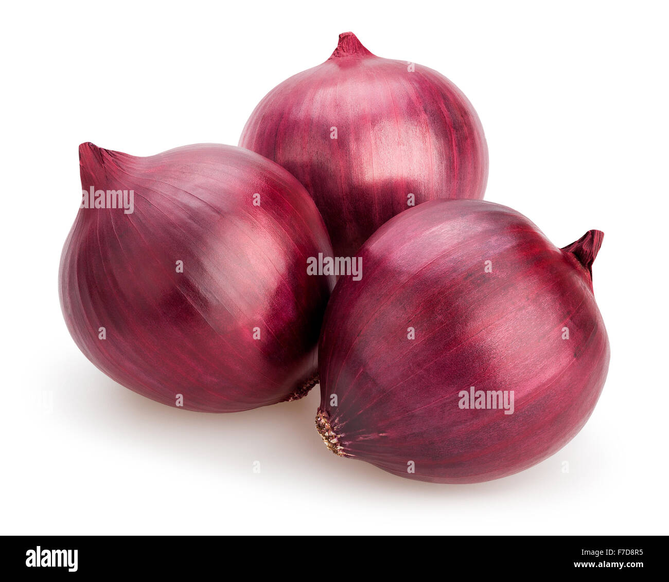 Three fresh onions hi-res stock photography and images - Alamy