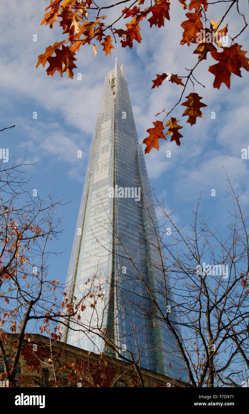 The Shard is bathed in bright autumn sunlight as the last few leaves ...