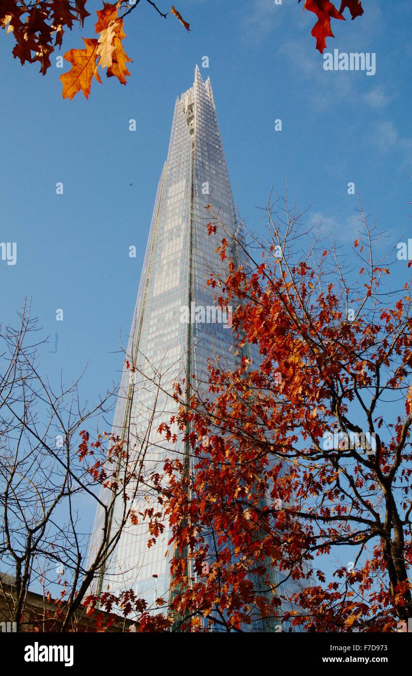 The Shard is bathed in bright autumn sunlight as the last few leaves ...