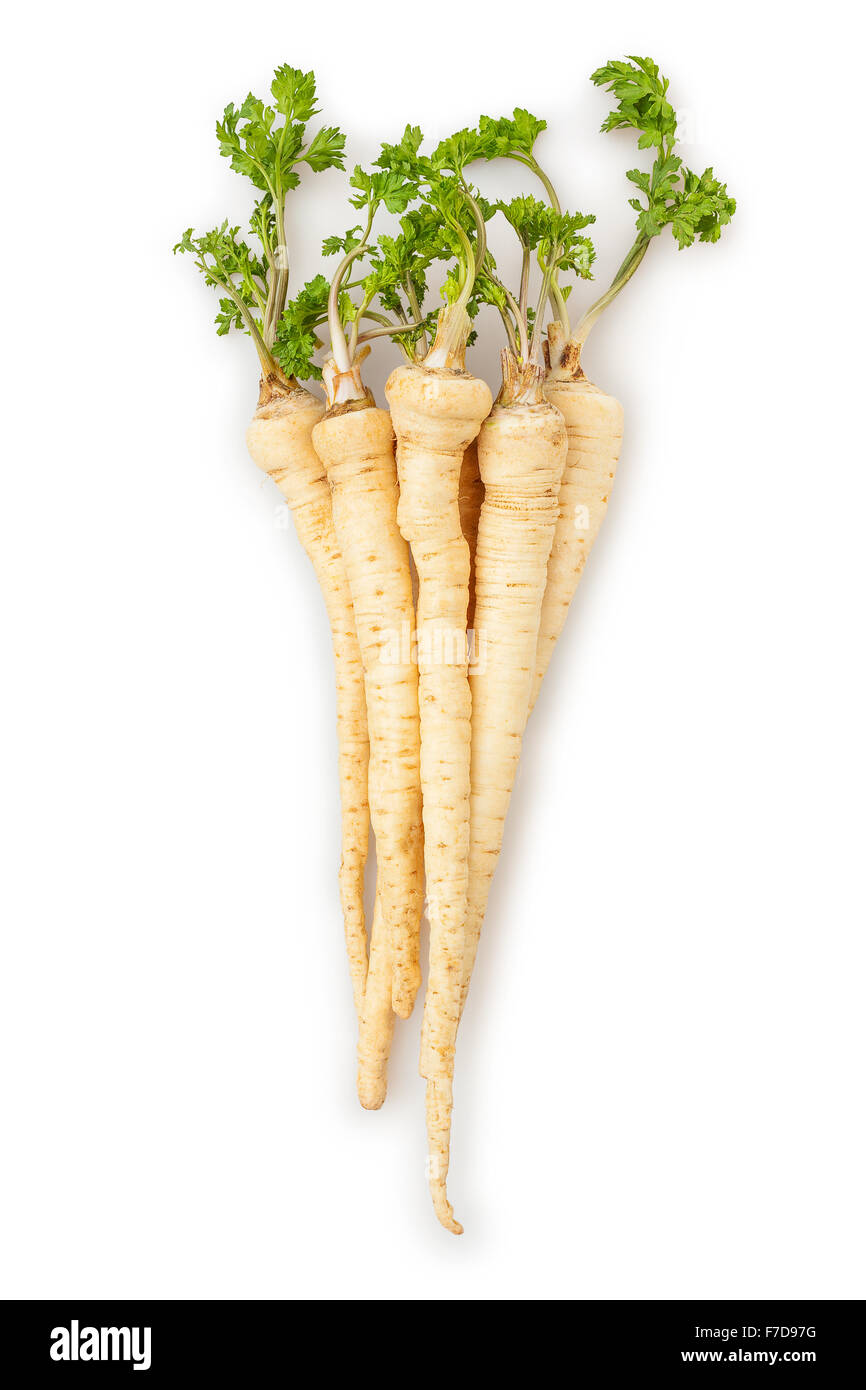 parsley root isolated Stock Photo - Alamy