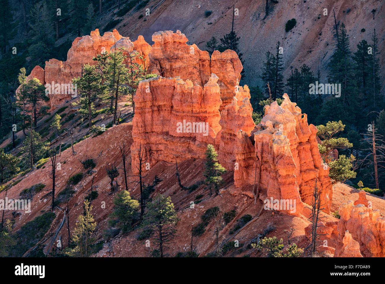 Sun Lit Rock Formation Stock Photo - Alamy