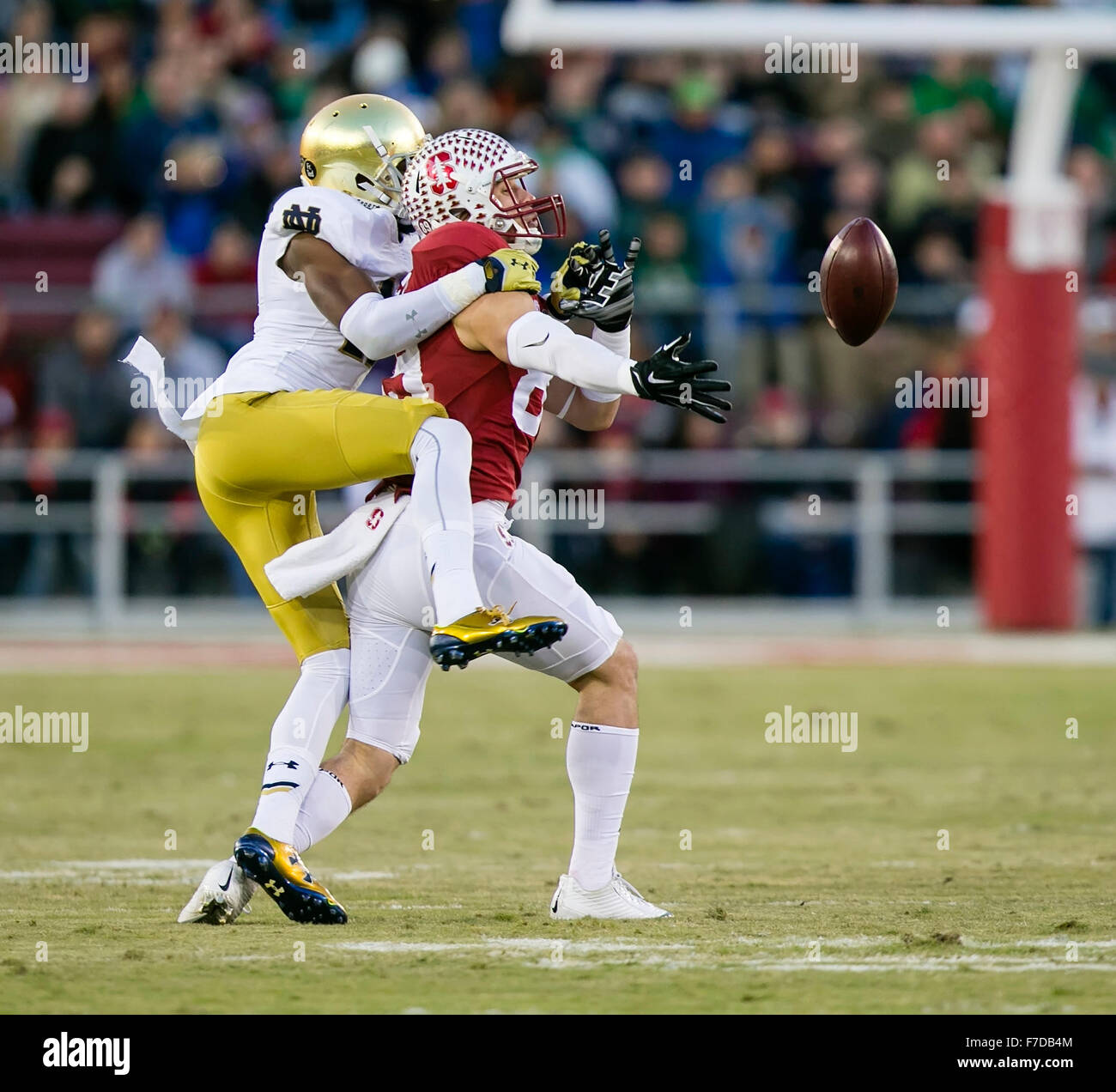 Devon cajuste hi-res stock photography and images - Alamy