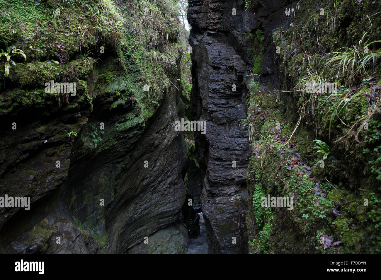 Devils Falls, a world famous tourist attraction in Wales Stock Photo ...