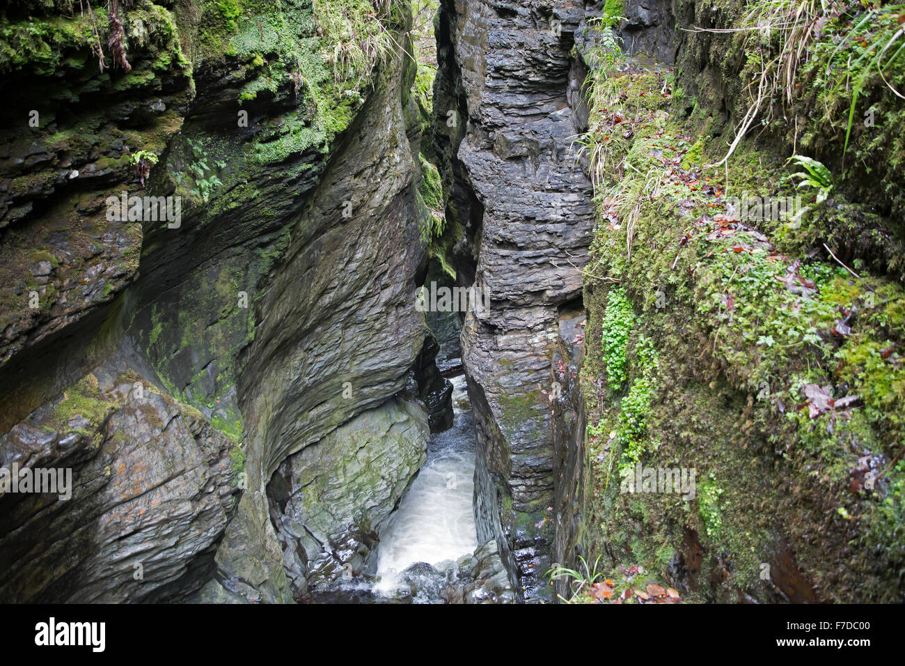 Devils Falls, a world famous tourist attraction in Wales Stock Photo ...