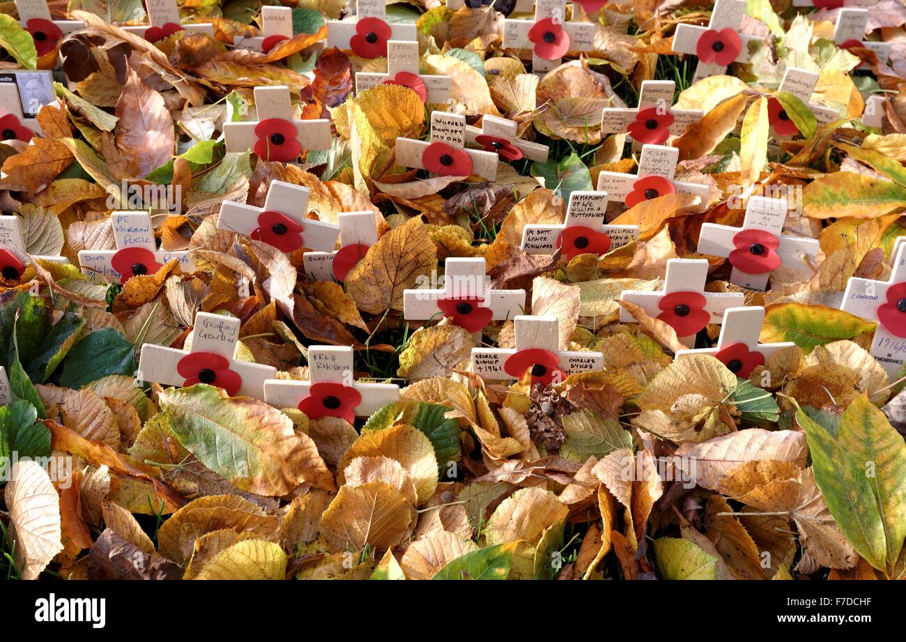 Remembrance crosses and autumnal leaves hi-res stock photography and ...
