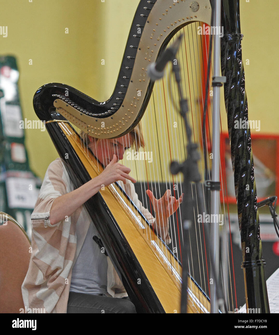 Catrin Finch playing the harp in a rehearsal Stock Photo - Alamy