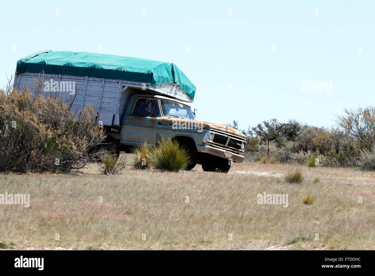 Old ford pick up hi-res stock photography and images - Alamy
