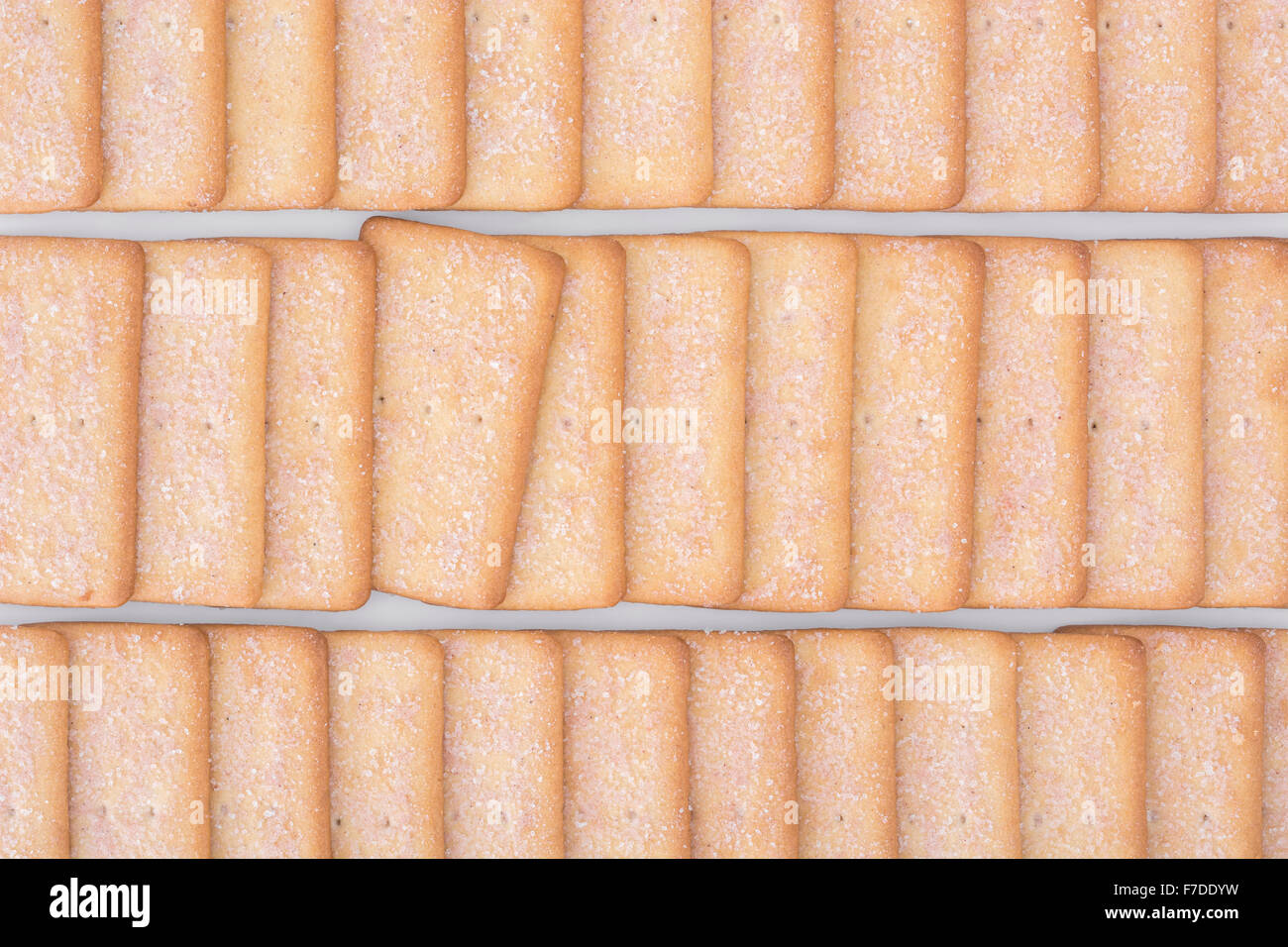 Computer cookie concept. Rows of sweet biscuits with one biscuit ...